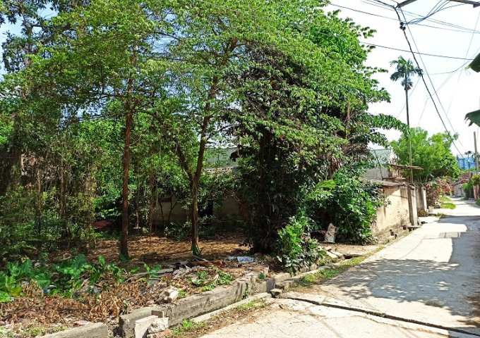 Bán đất Tại Xã Hiền Ninh Sóc Sơn Hà Nội Diện Tích 209m2 Giá 610 Triệu