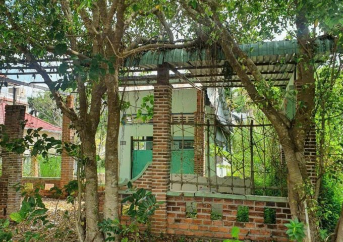 ALO ALO ALO CẦN BÁN AE ALO CÓ GIÁ TỐT CHO ĐẦU TƯ